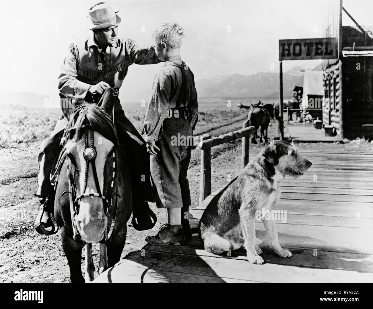 Shane 1953 alan ladd hi-res stock photography and images - Alamy