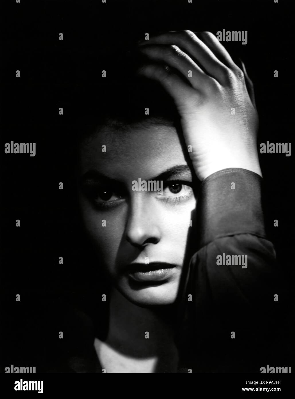 Gregory Bergman's Instagram, Twitter & Facebook on IDCrawl