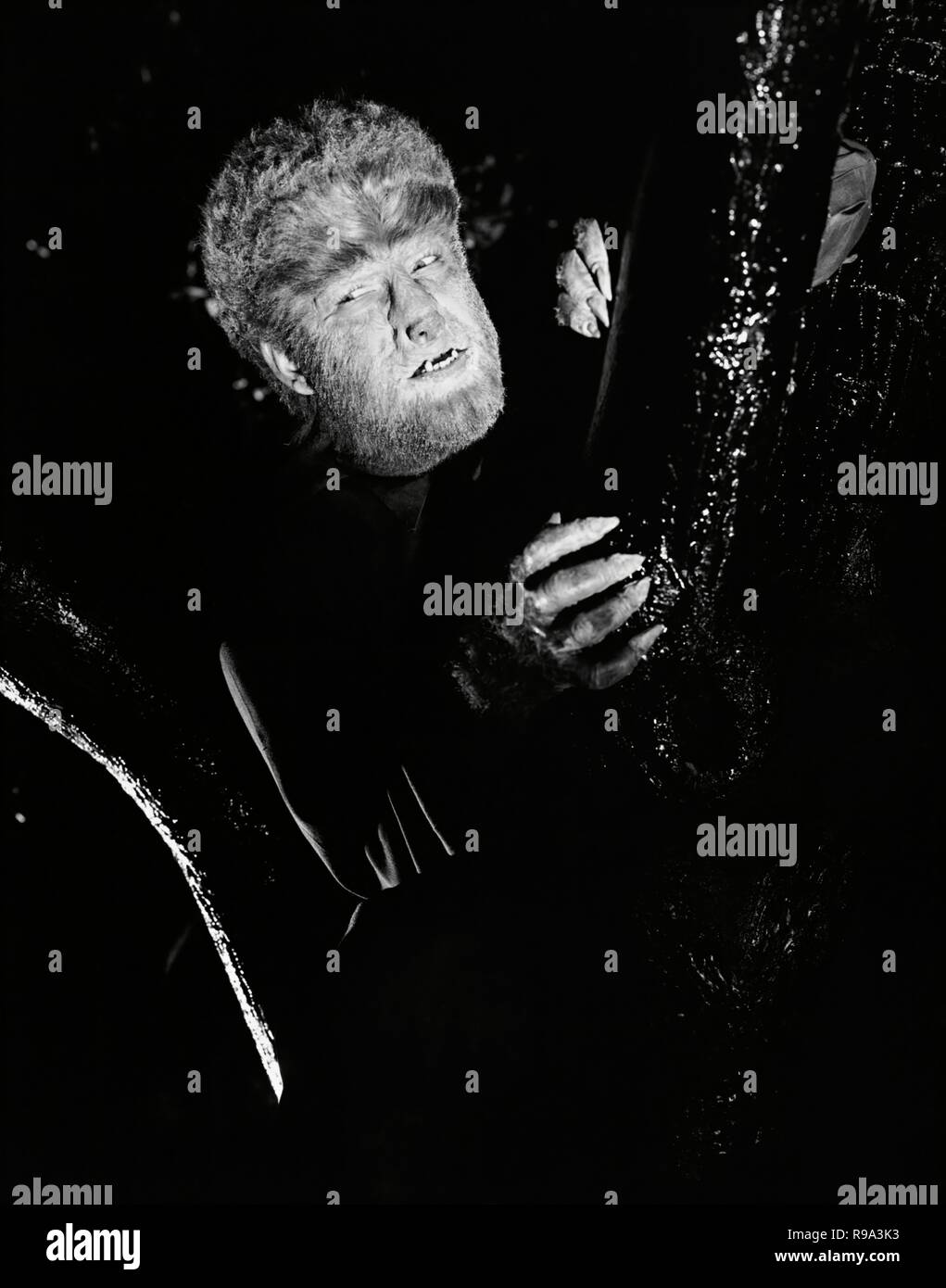 Original film title: THE WOLF MAN. English title: THE WOLF MAN. Year ...