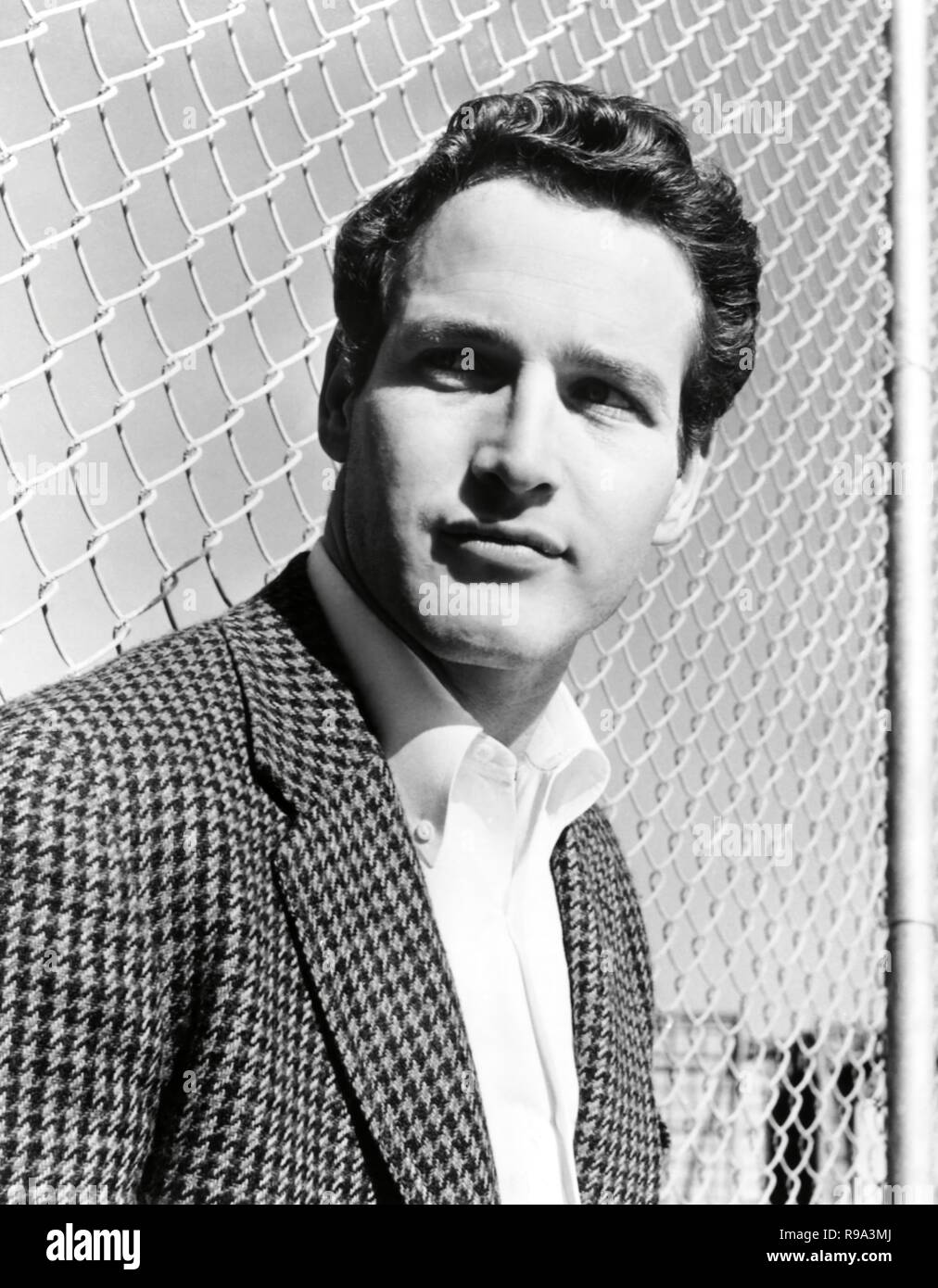 Paul newman paul newman paul newman Black and White Stock Photos ...