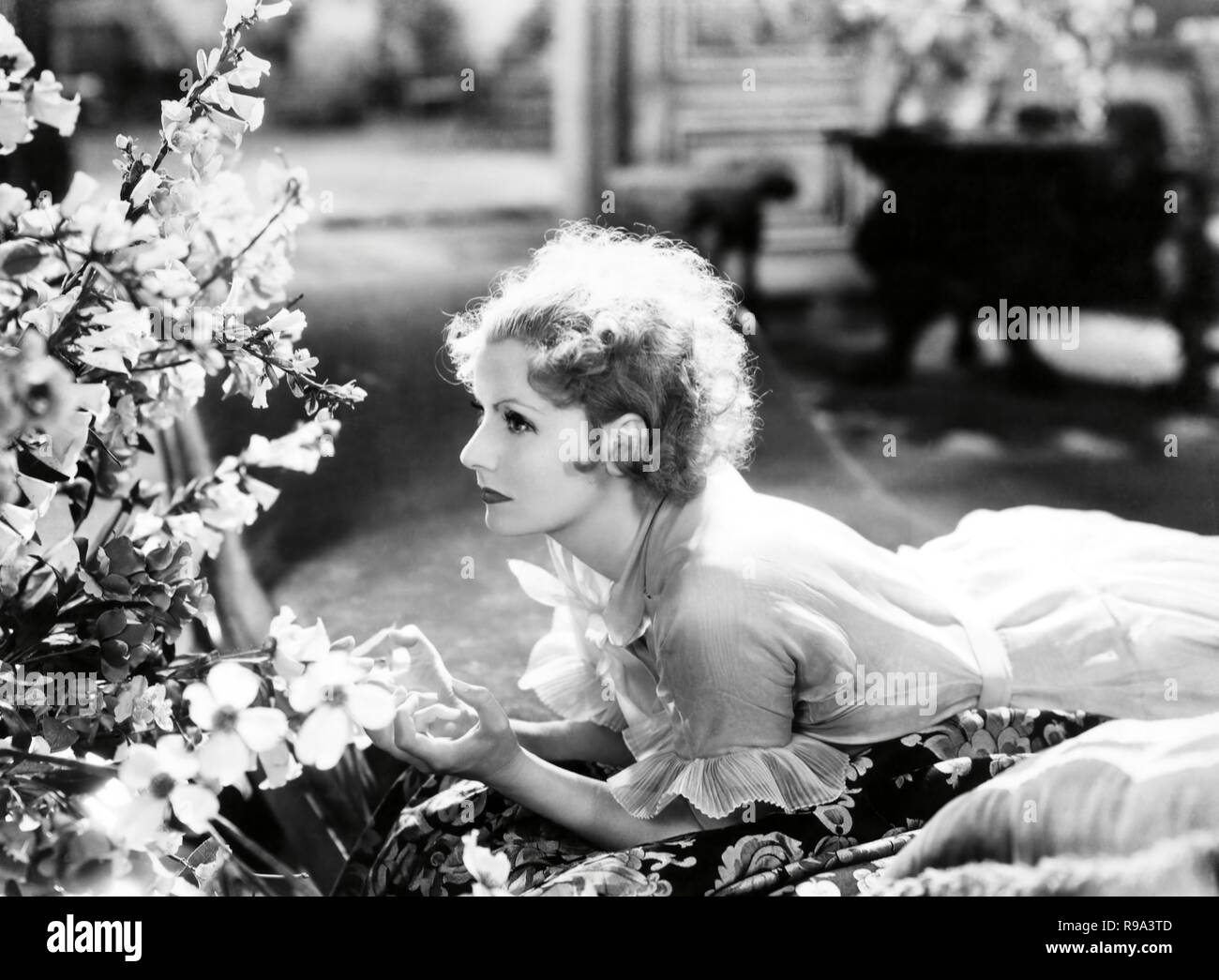 Original film title: CAMILLE. English title: CAMILLE. Year: 1936 ...