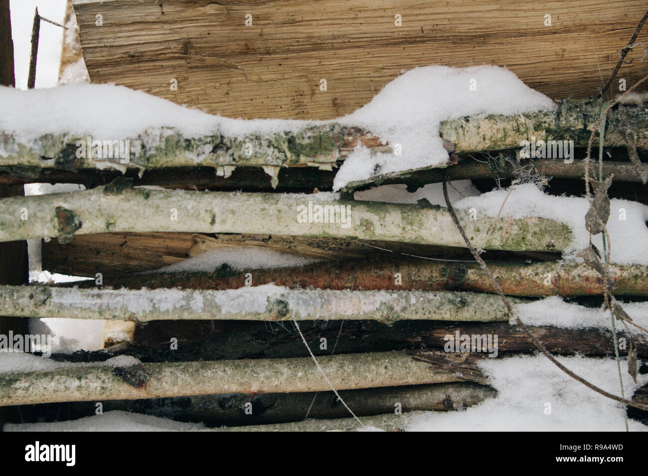 Canopy stack hi-res stock photography and images - Alamy