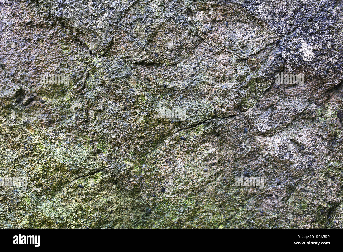 rough gray color wall texture. background for design Stock Photo - Alamy