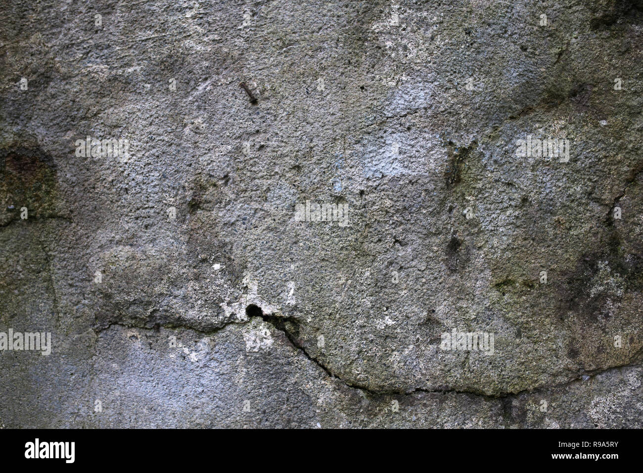 rough gray color wall texture. background for design Stock Photo - Alamy
