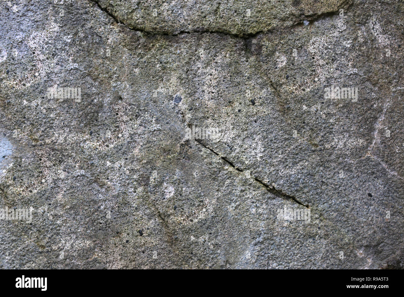 rough gray color wall texture. background for design Stock Photo - Alamy