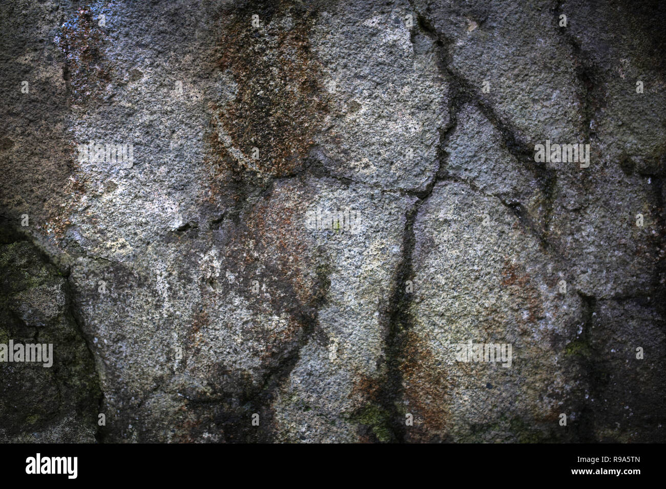 rough gray color wall texture. background for design with vignetting ...