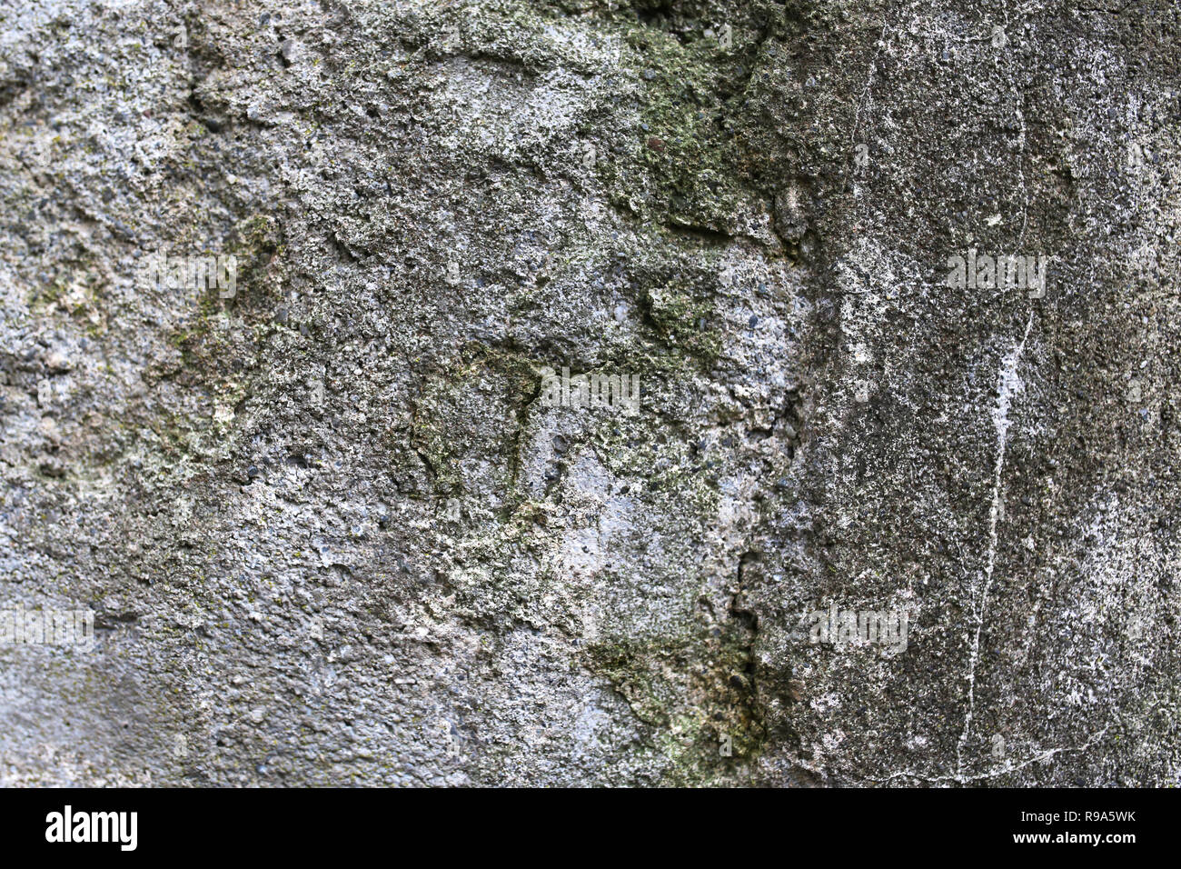 rough gray color wall texture. background for design Stock Photo - Alamy