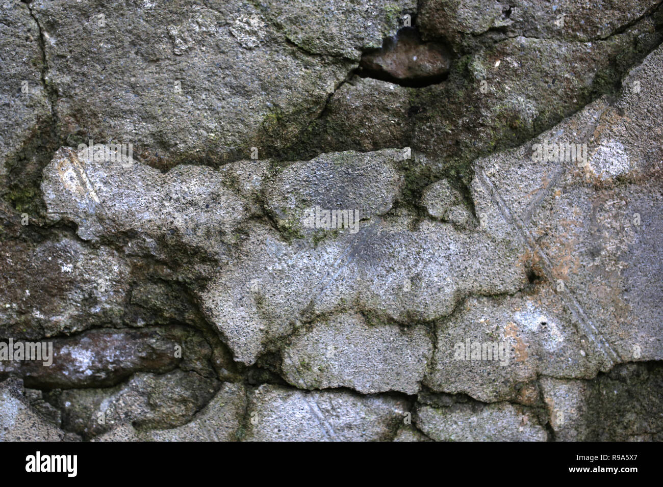 rough gray color wall texture. background for design Stock Photo - Alamy