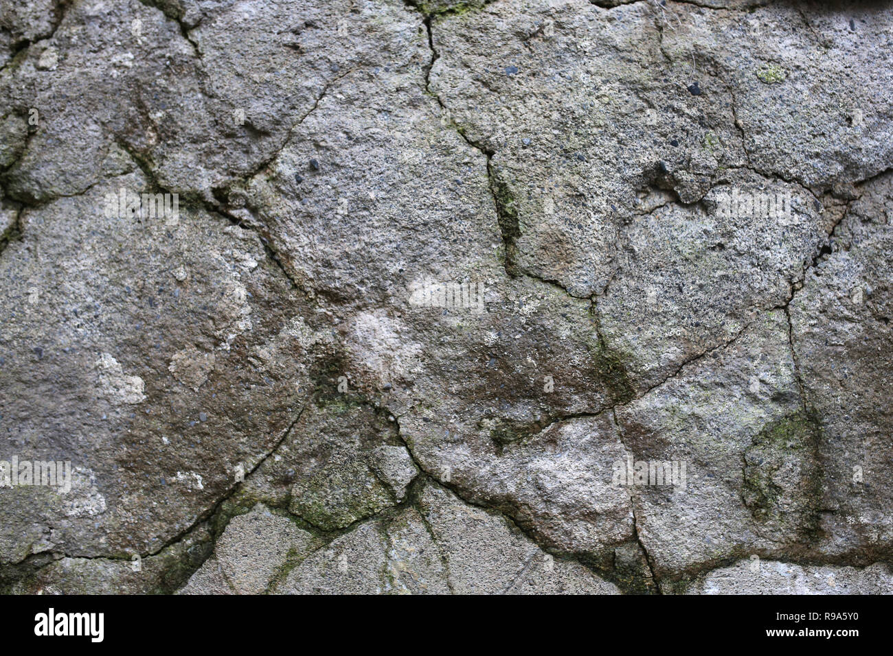 rough gray color wall texture. background for design Stock Photo - Alamy