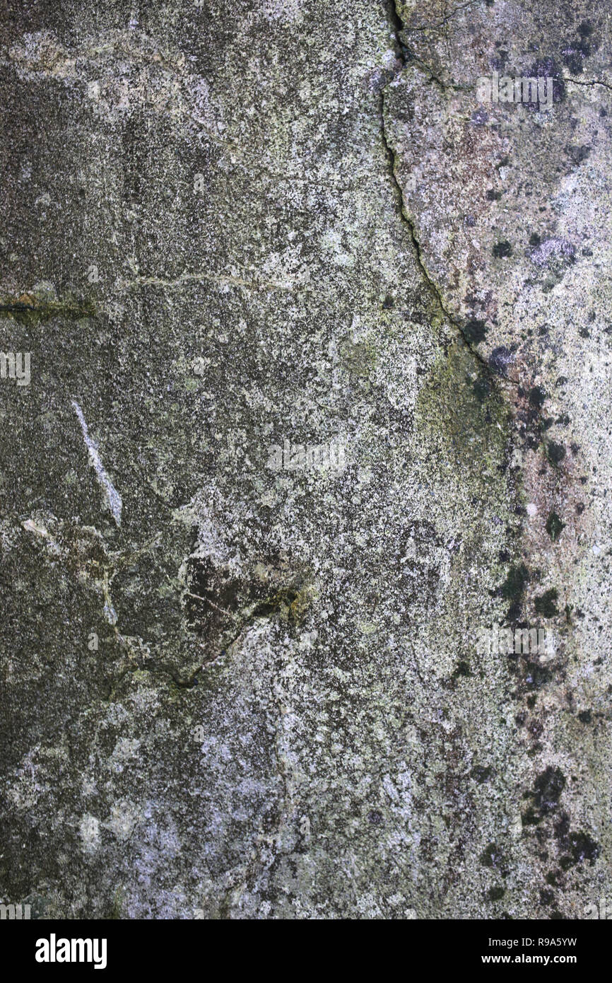 rough gray color wall texture. background for design Stock Photo - Alamy