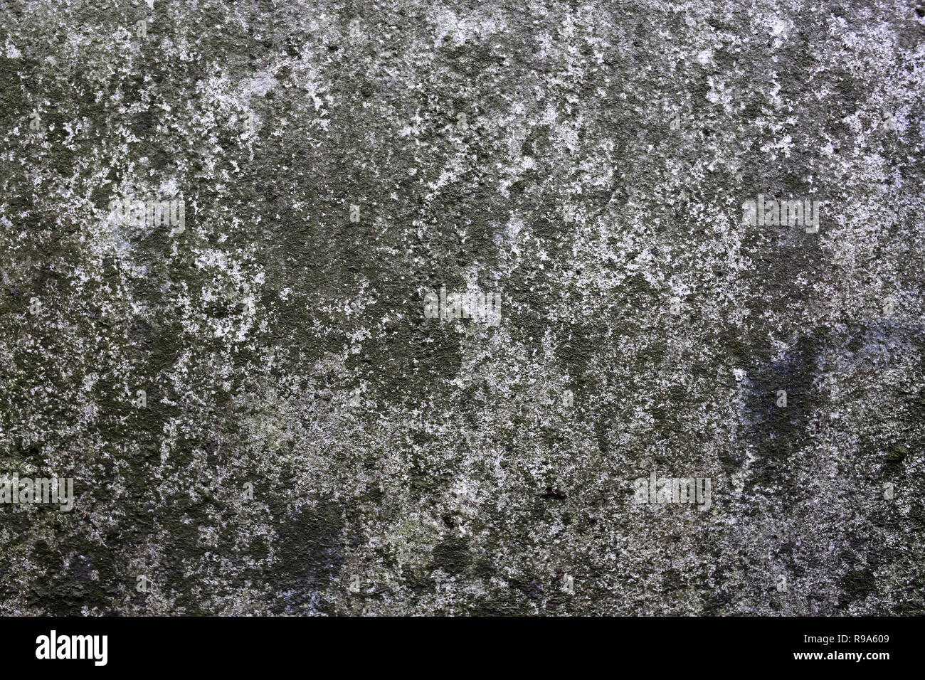 rough gray color wall texture. background for design Stock Photo - Alamy