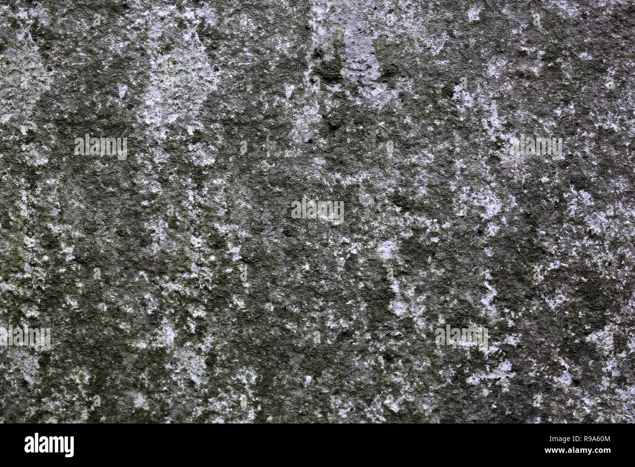 rough gray color wall texture. background for design Stock Photo - Alamy