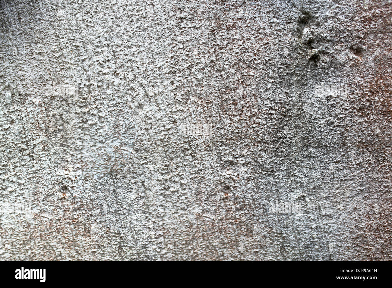 rough gray color wall texture. background for design Stock Photo - Alamy