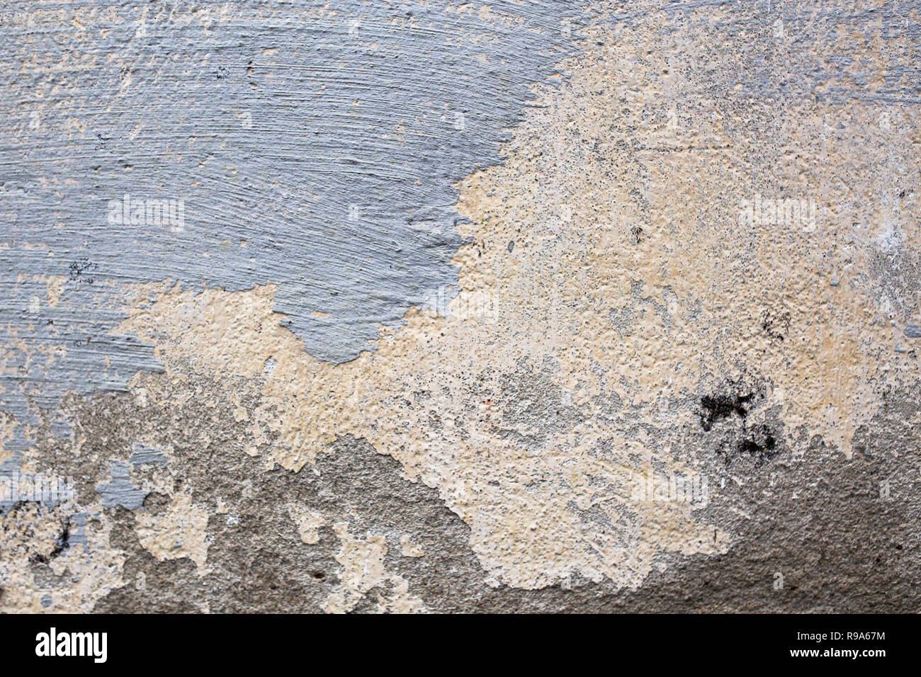 rough gray color wall texture. background for design Stock Photo - Alamy