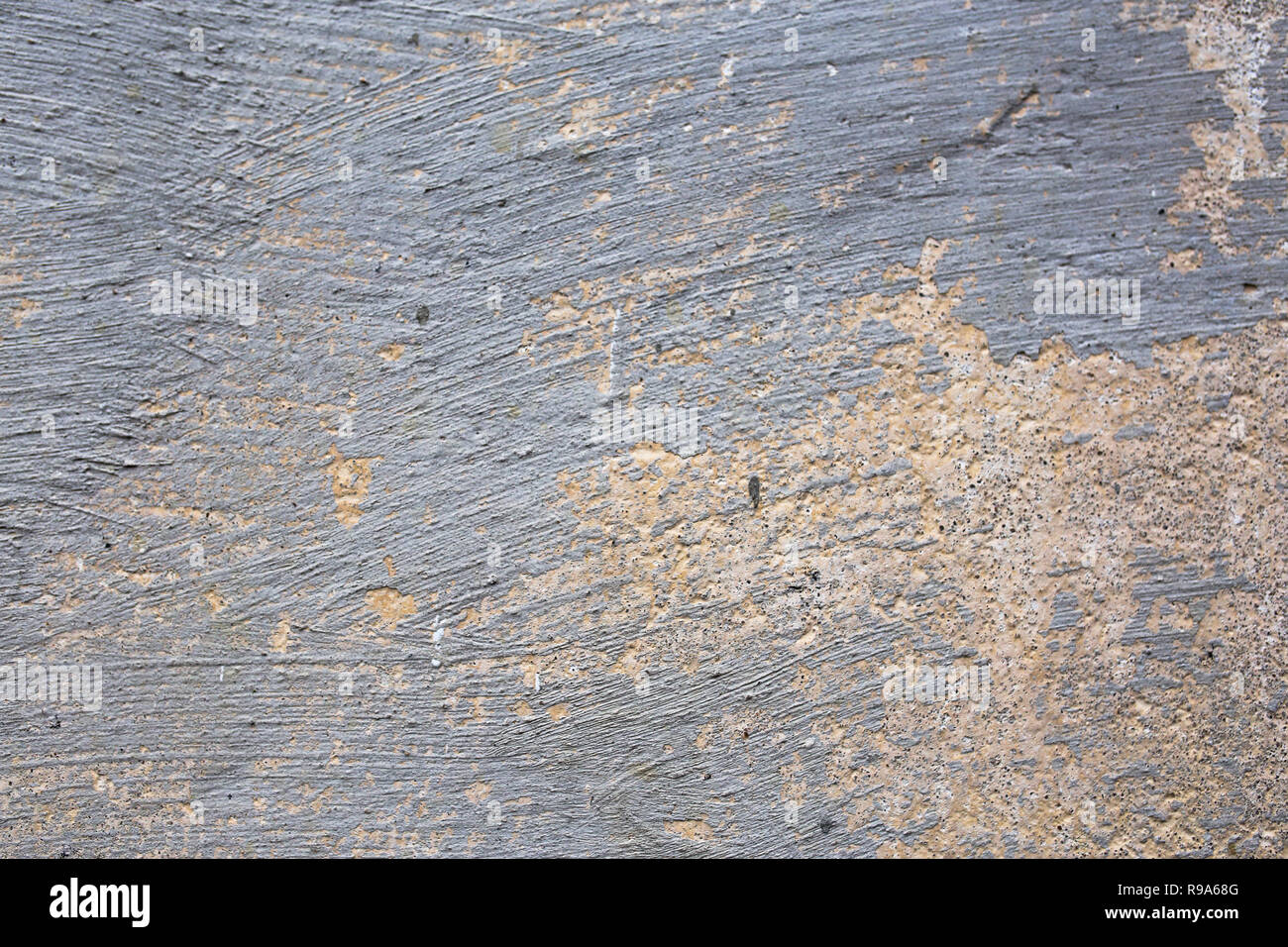rough gray color wall texture. background for design Stock Photo - Alamy