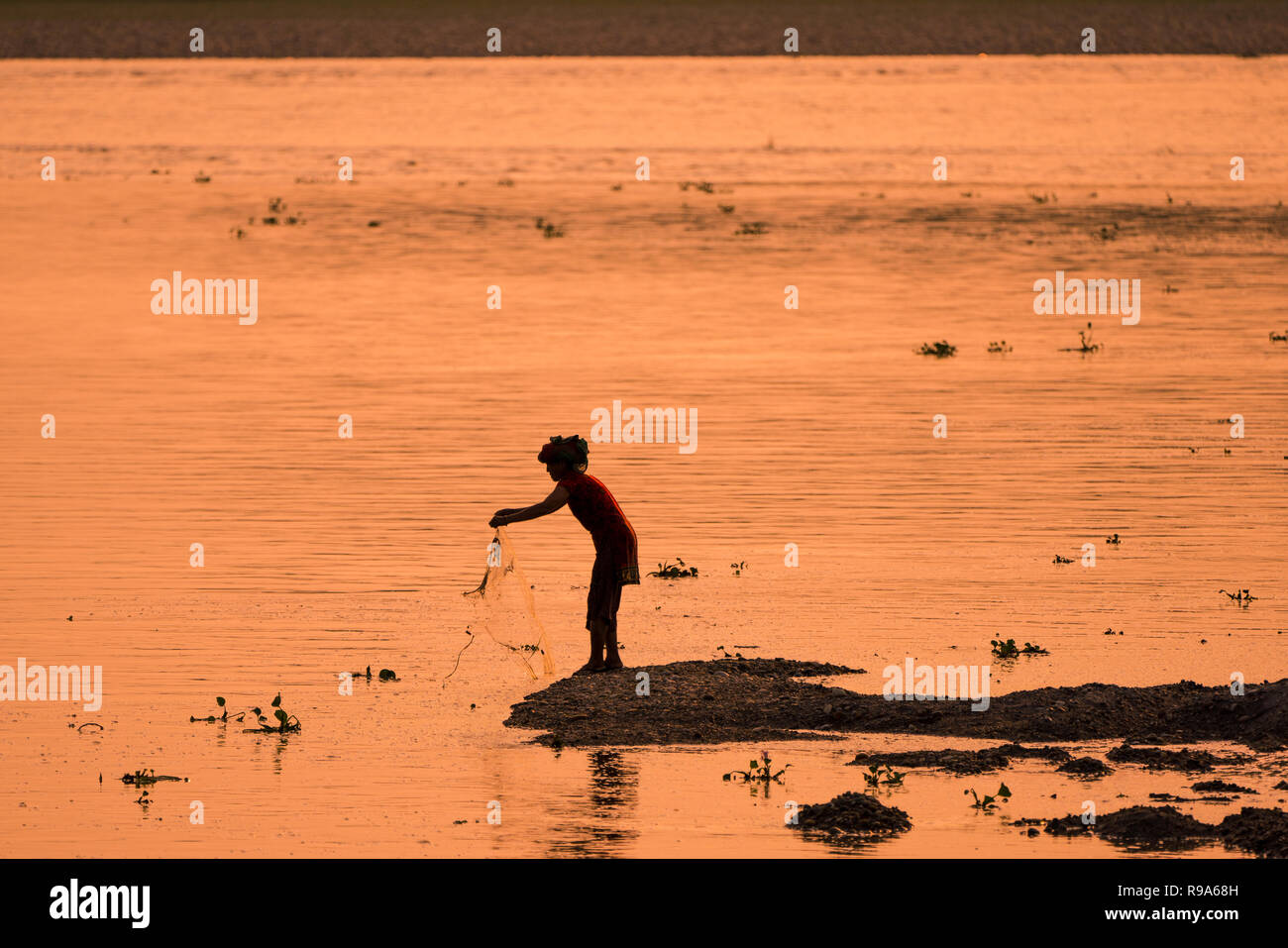 Asian Woman fishing in the river. silhouette at sunset. Village life in ...