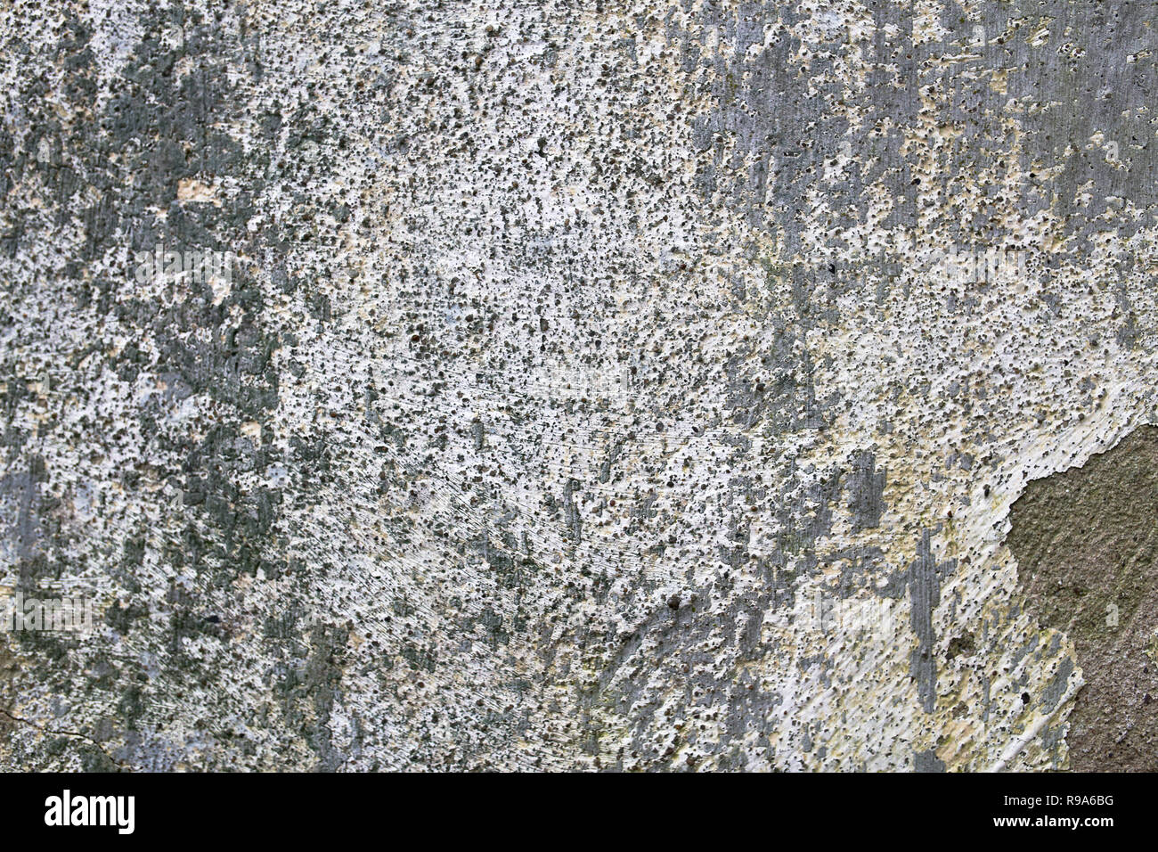 rough gray color wall texture. background for design Stock Photo - Alamy