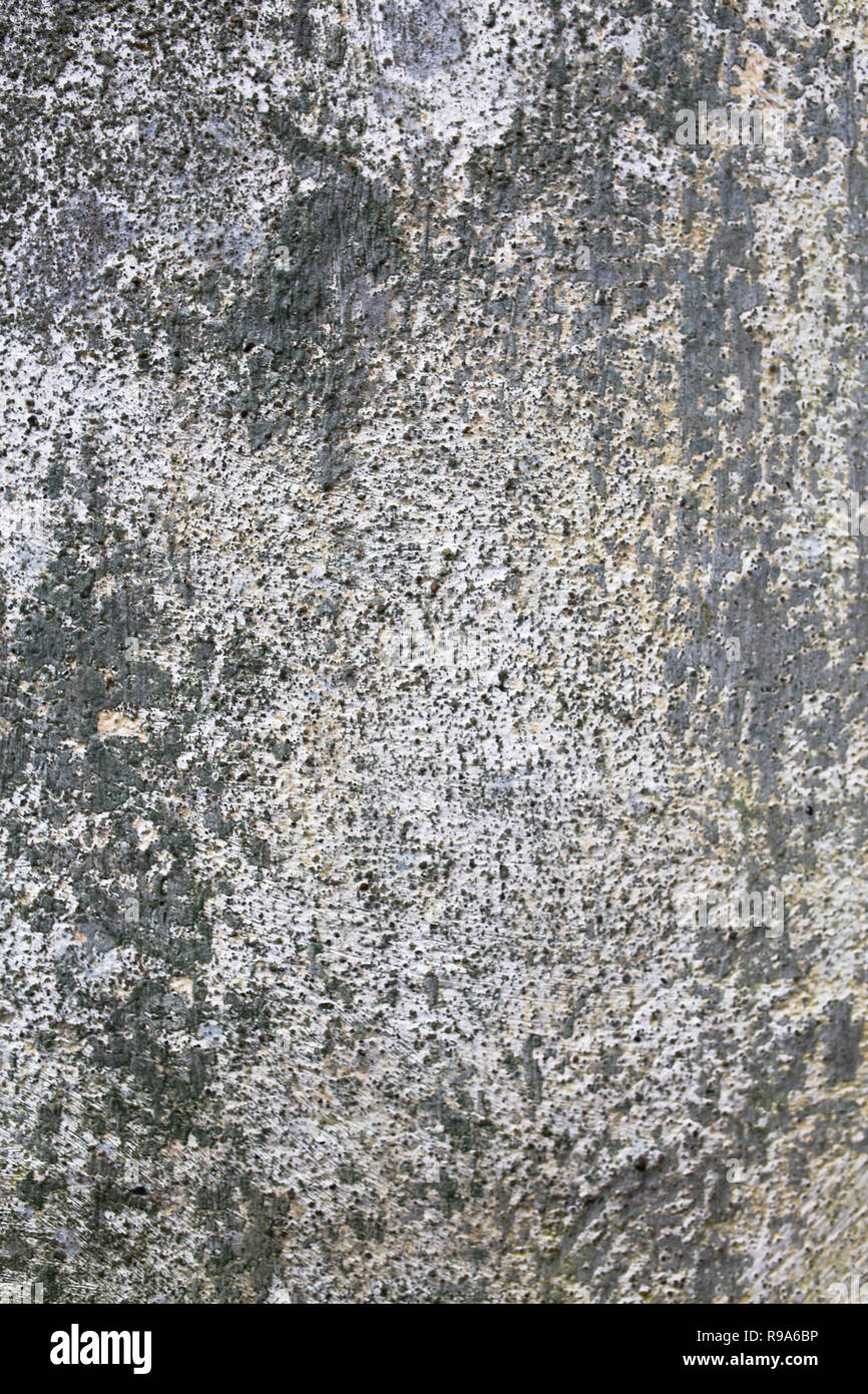 rough gray color wall texture. background for design Stock Photo - Alamy