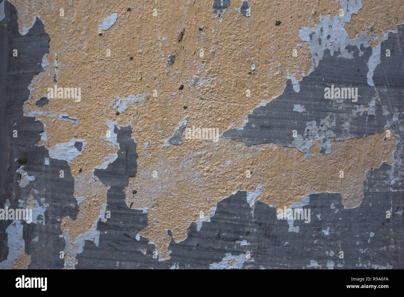 rough gray color wall texture. background for design Stock Photo - Alamy