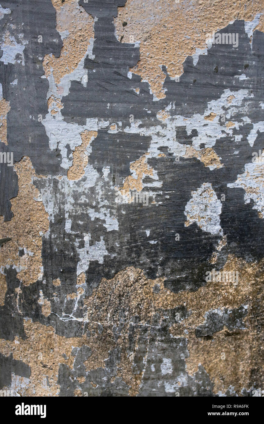 rough gray color wall texture. background for design Stock Photo - Alamy