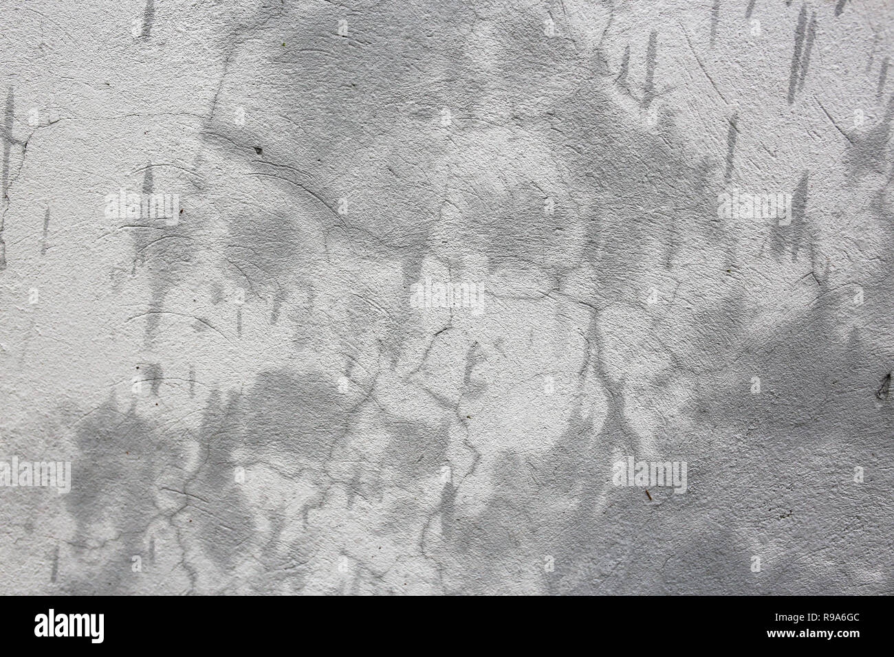 rough gray color wall texture. background for design Stock Photo - Alamy
