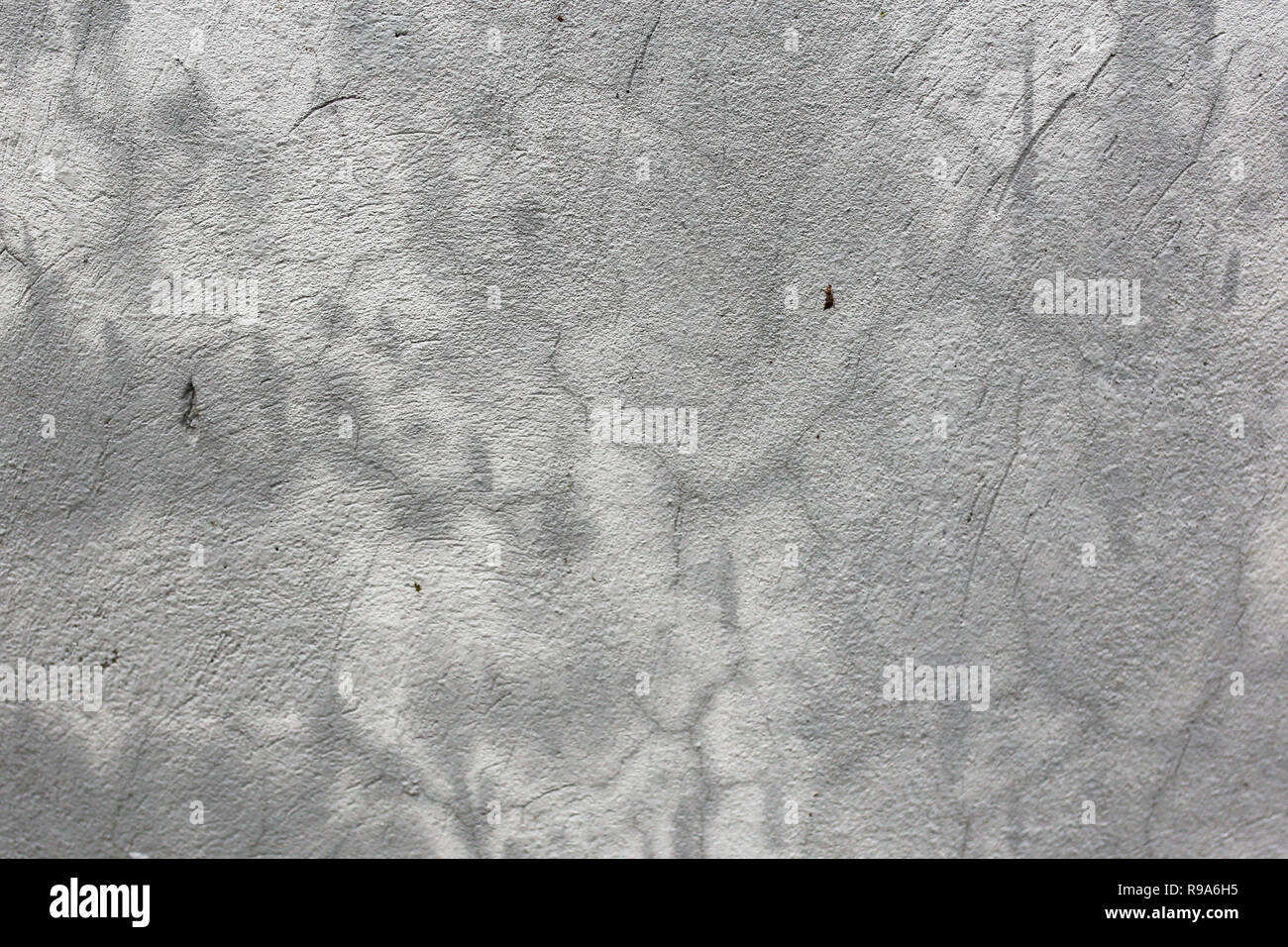 rough gray color wall texture. background for design Stock Photo - Alamy