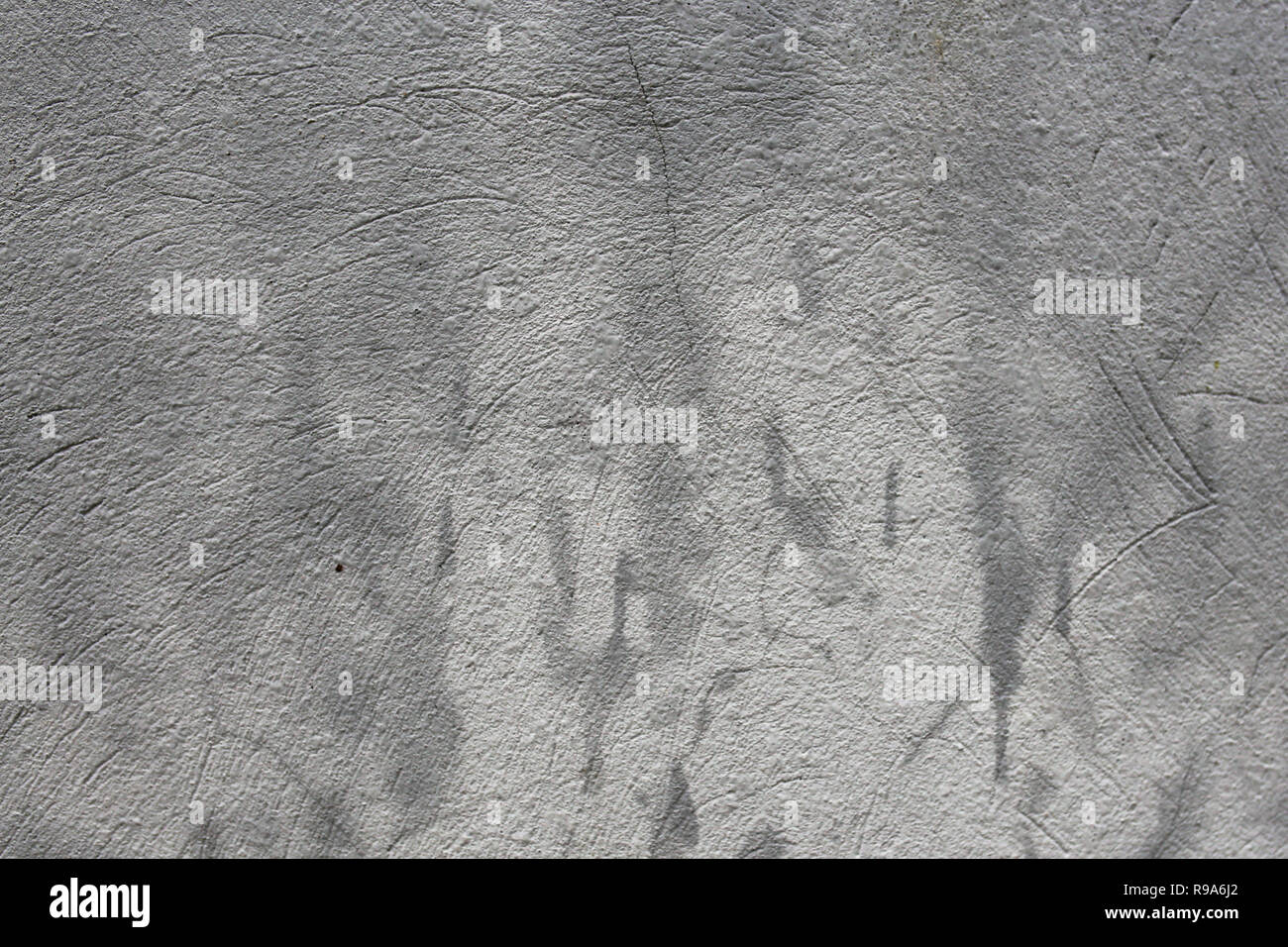 rough gray color wall texture. background for design Stock Photo - Alamy