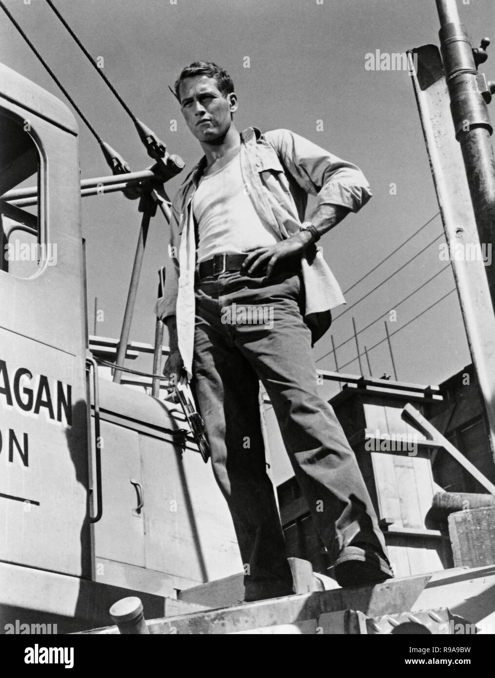 Young Paul Newman High Resolution Stock Photography and Images - Alamy