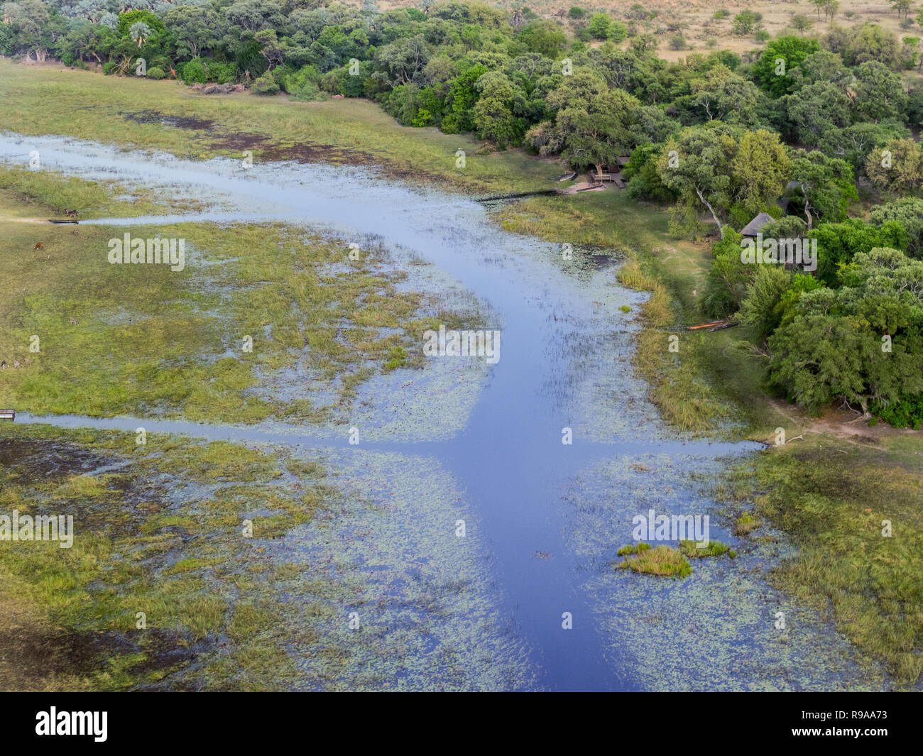 Aerial view of rivers, streams and grasslands in Delta Okavango ...