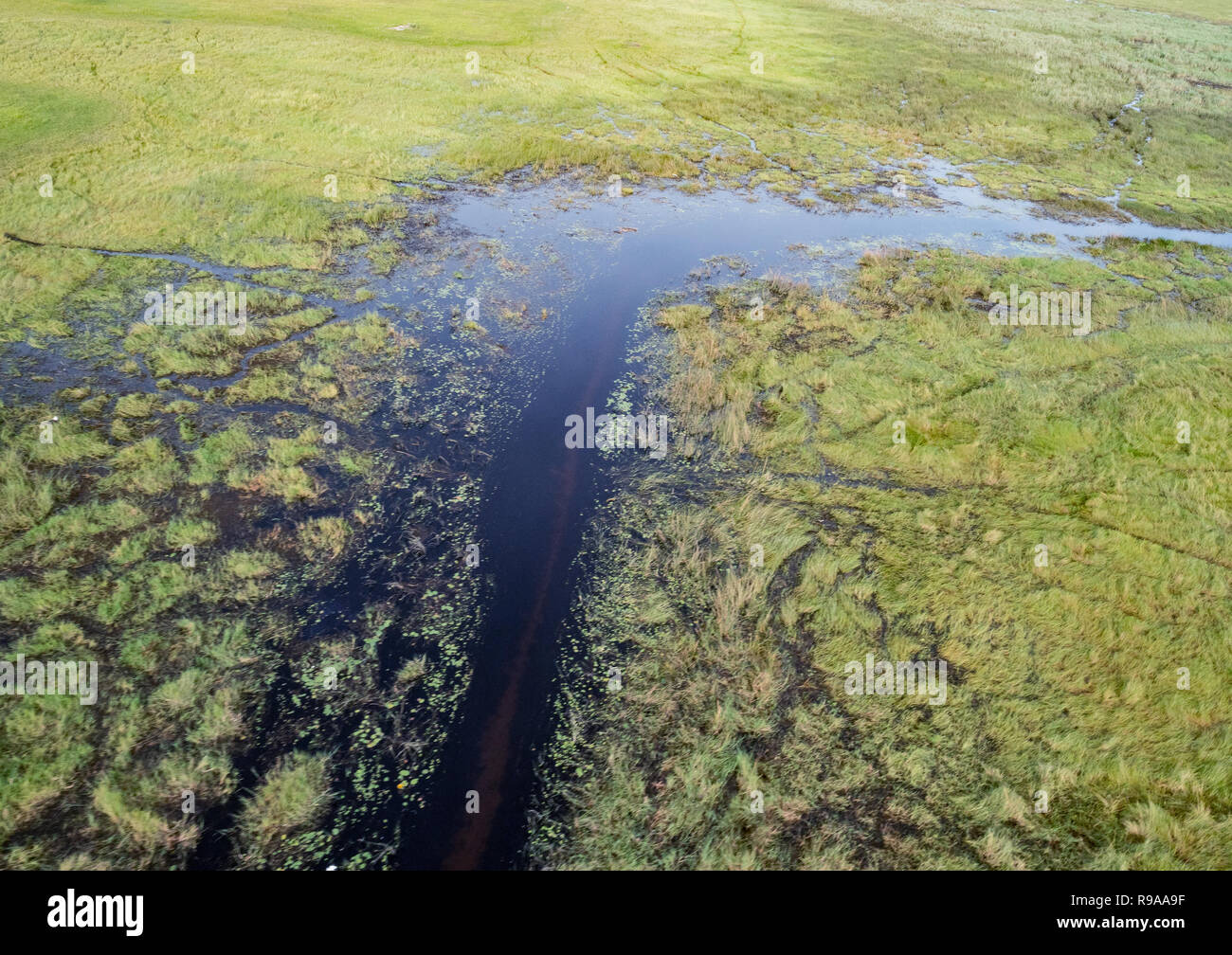 Aerial view of rivers, streams and grasslands in Delta Okavango ...