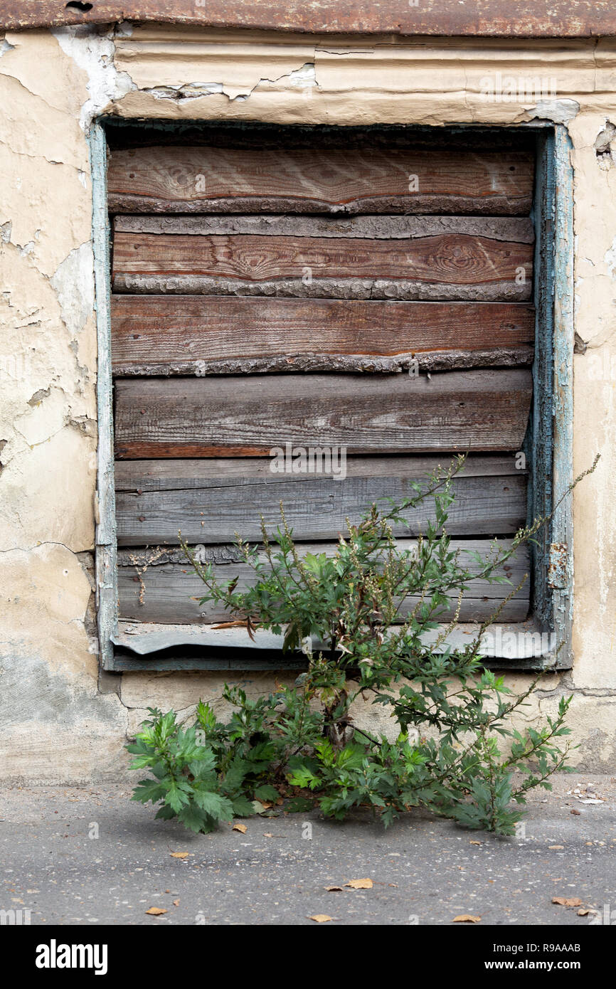 The window of the old house is covered with wooden shutters at street ...
