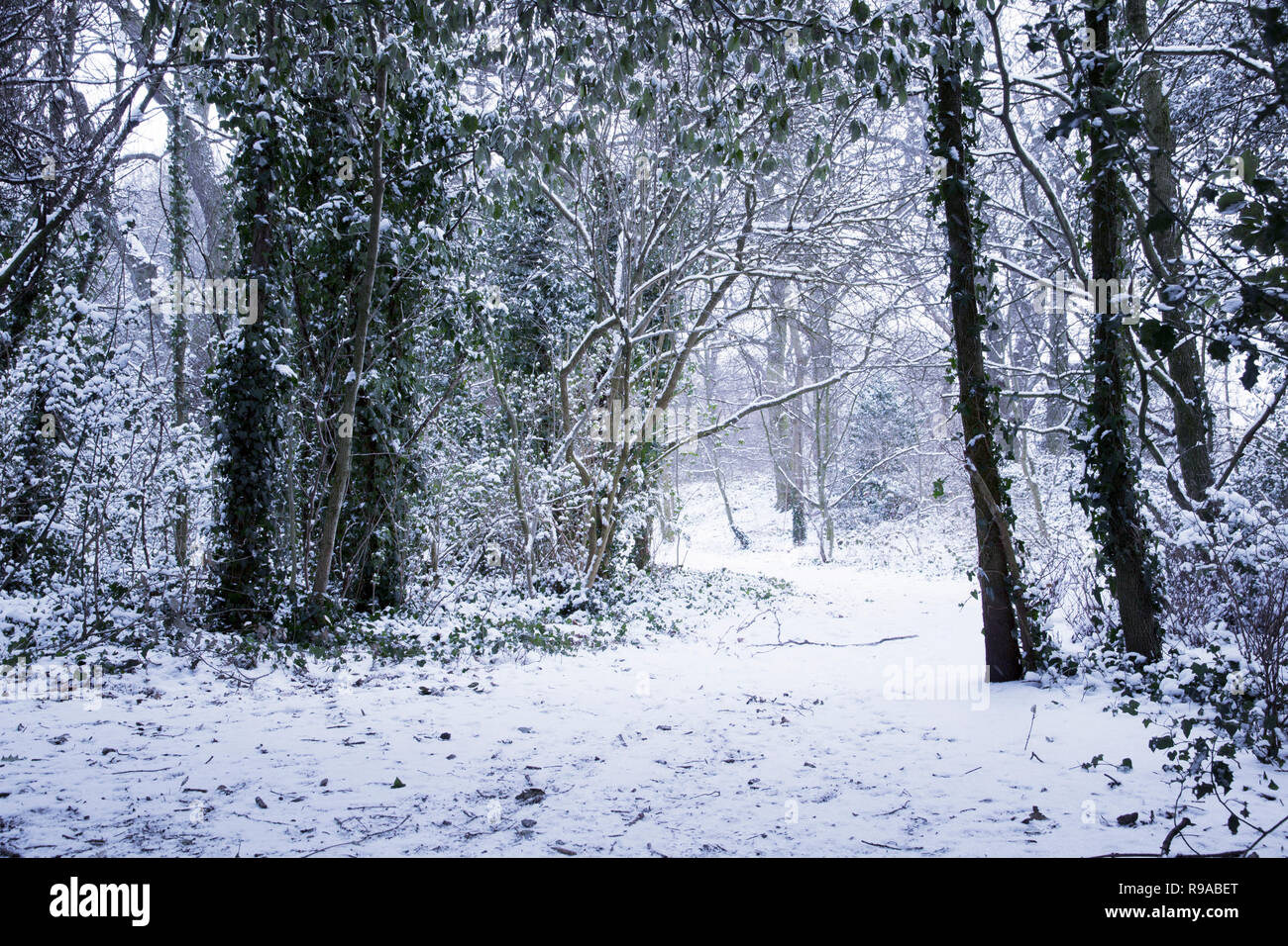 Field southgate hi-res stock photography and images - Alamy