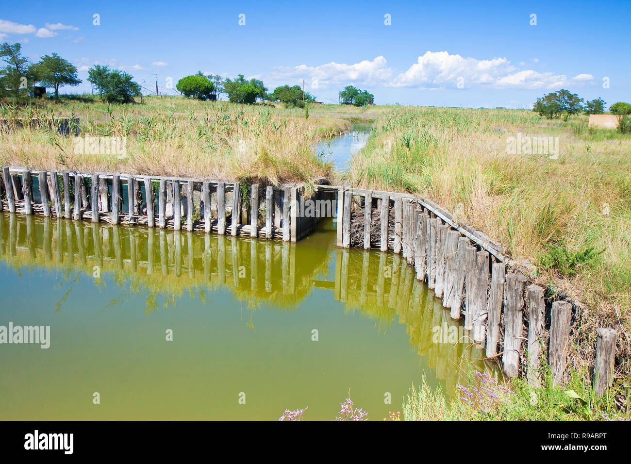 The Comacchio valleys (Italy) are known worldwide for eel fishing ...