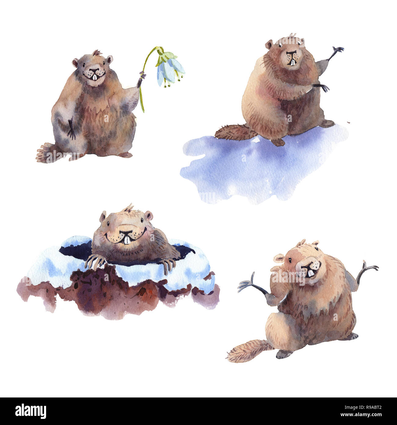 Happy Groundhog Day - hand drawn watercolor collection illustrations ...