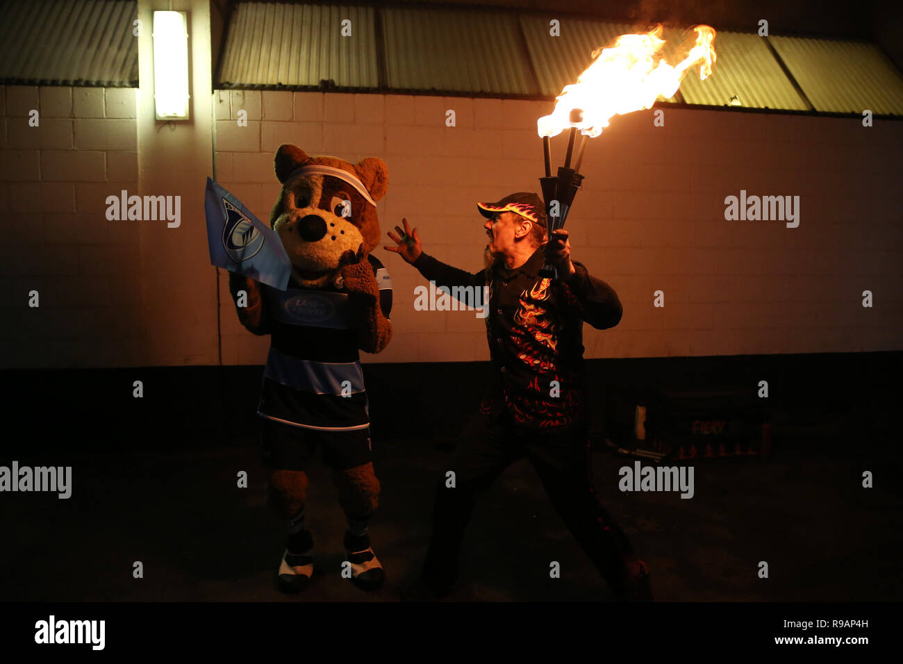 Guinness mascot hi-res stock photography and images - Alamy