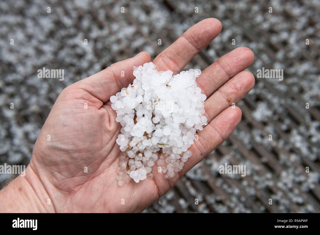 Short hail hi-res stock photography and images - Alamy