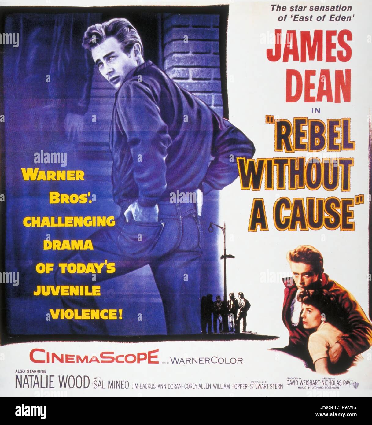 Original film title: REBEL WITHOUT A CAUSE. English title: REBEL ...