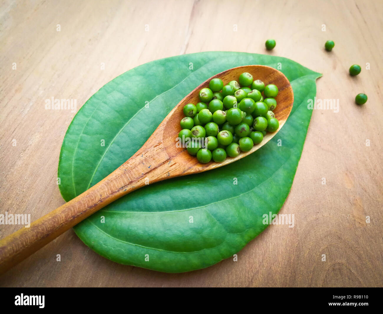 Piperaceae High Resolution Stock Photography and Images - Alamy