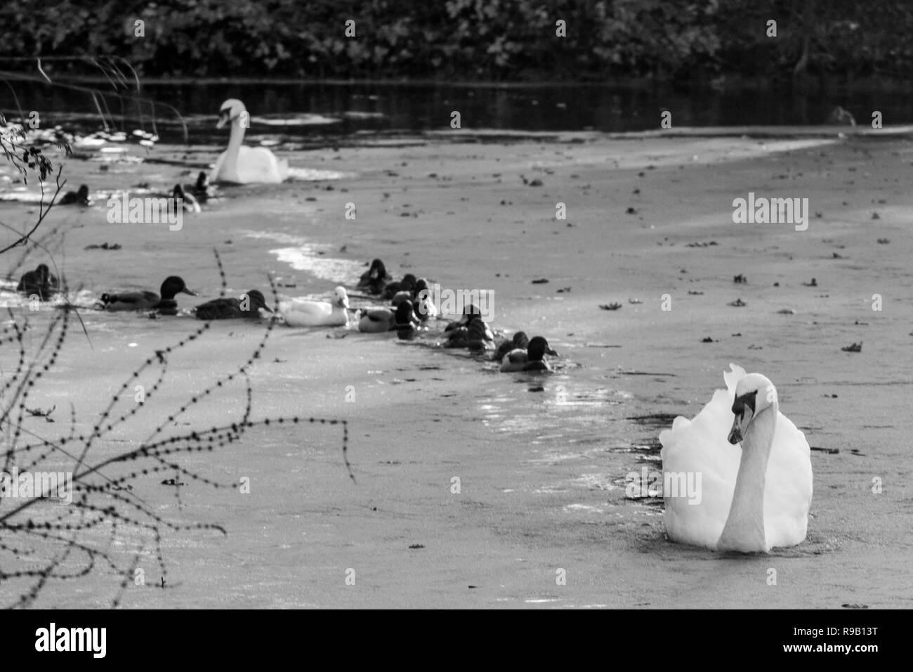 Queue Black and White Stock Photos & Images - Alamy