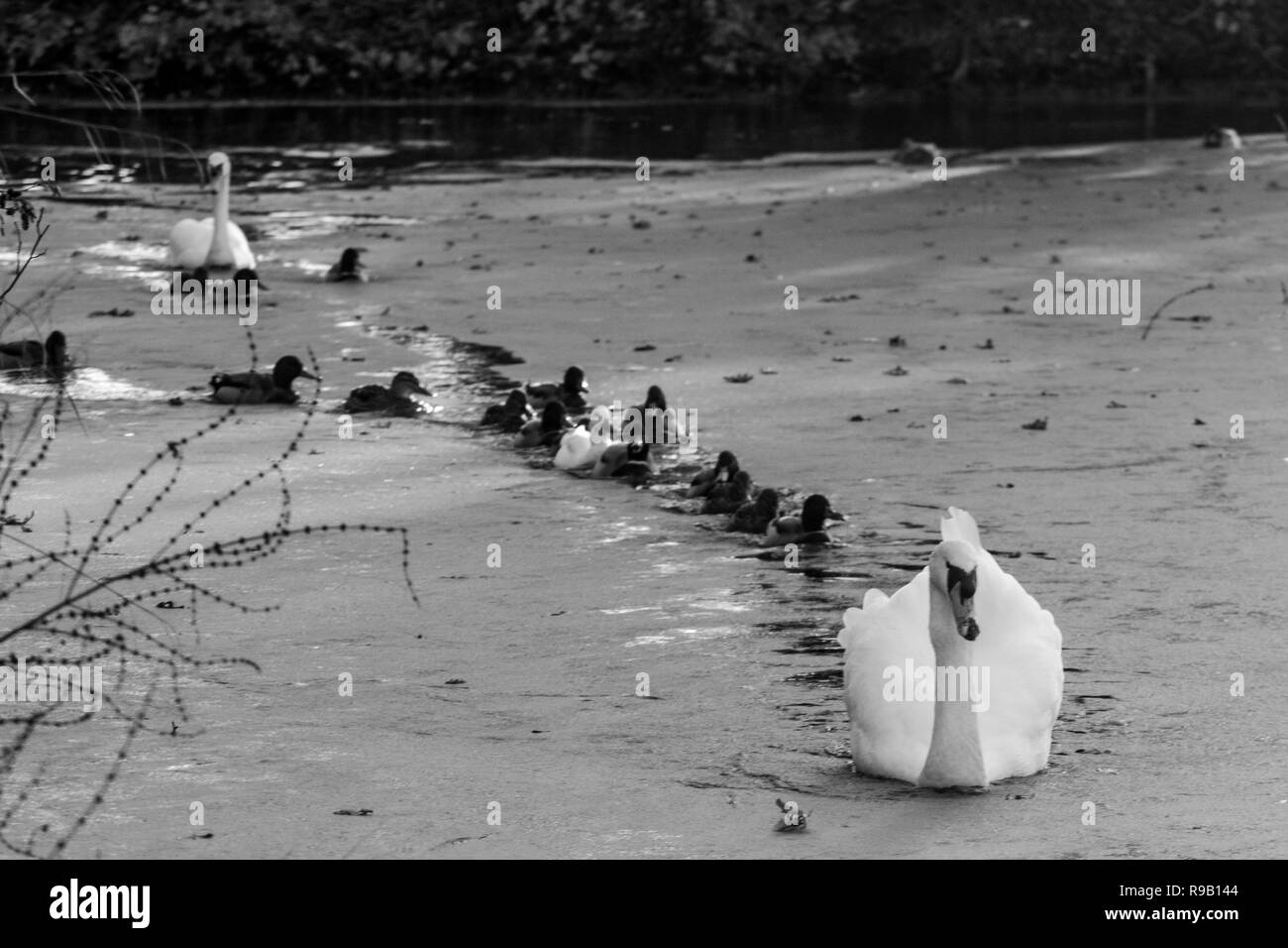 Queue Black and White Stock Photos & Images - Alamy