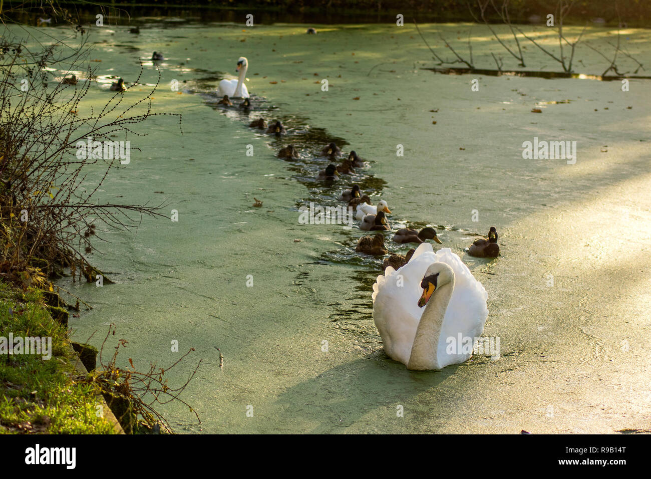 Very orderly queue hi-res stock photography and images - Alamy
