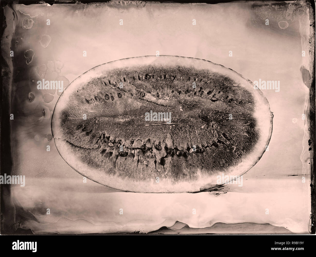 Wet Plate collodion (ambrotype) for Hell's Kitchen Project Stock Photo ...