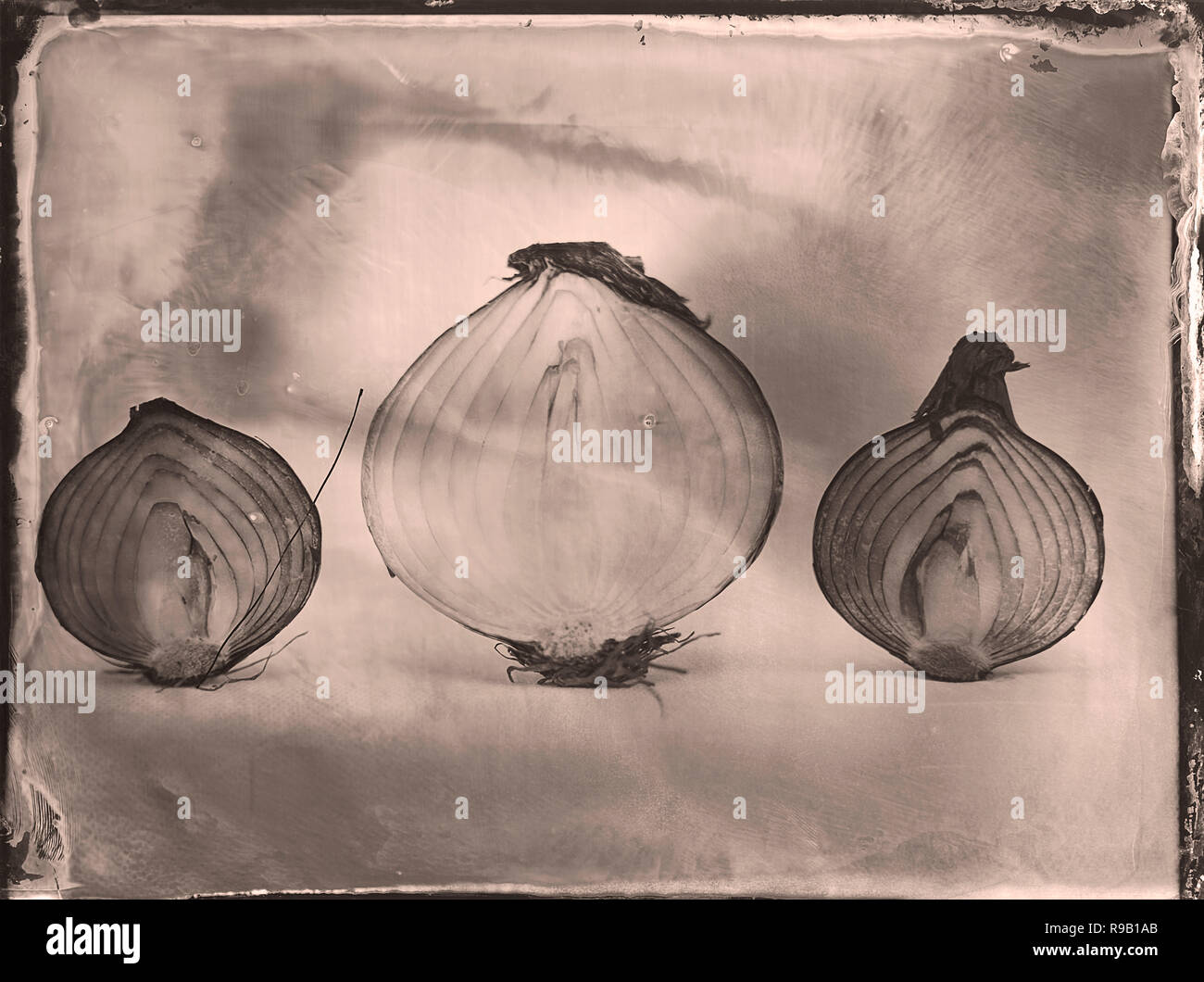 Wet Plate collodion (ambrotype) for Hell's Kitchen Project Stock Photo ...