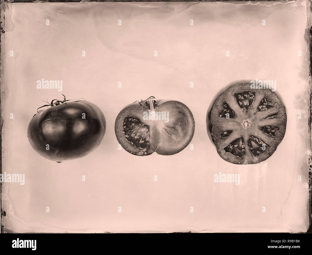 Wet Plate collodion (ambrotype) for Hell's Kitchen Project Stock Photo ...