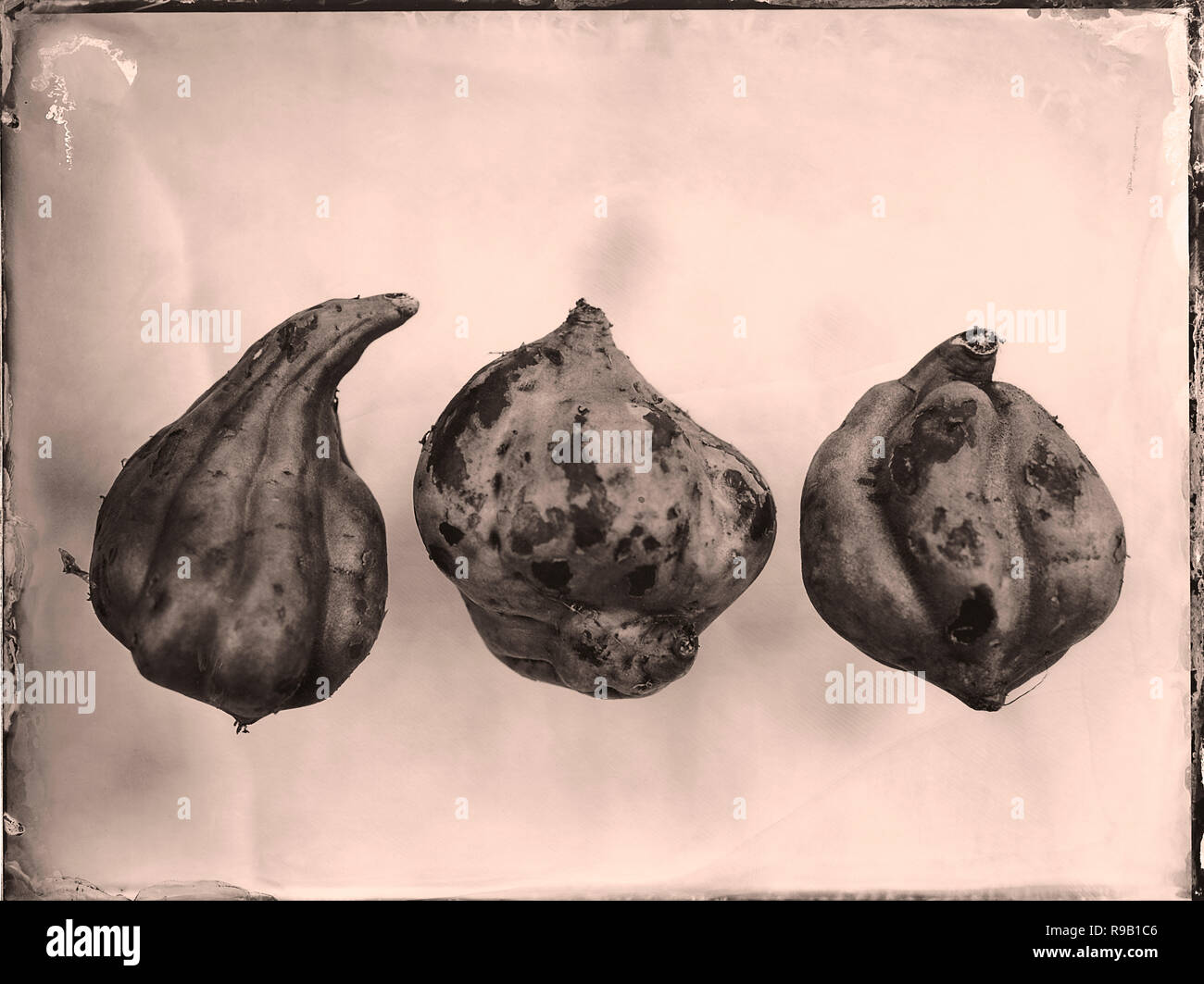 Wet plate collodion process hi-res stock photography and images - Alamy