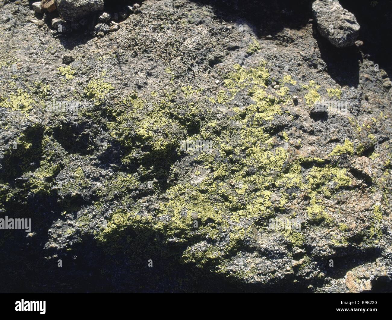 Roca granitica hi-res stock photography and images - Alamy