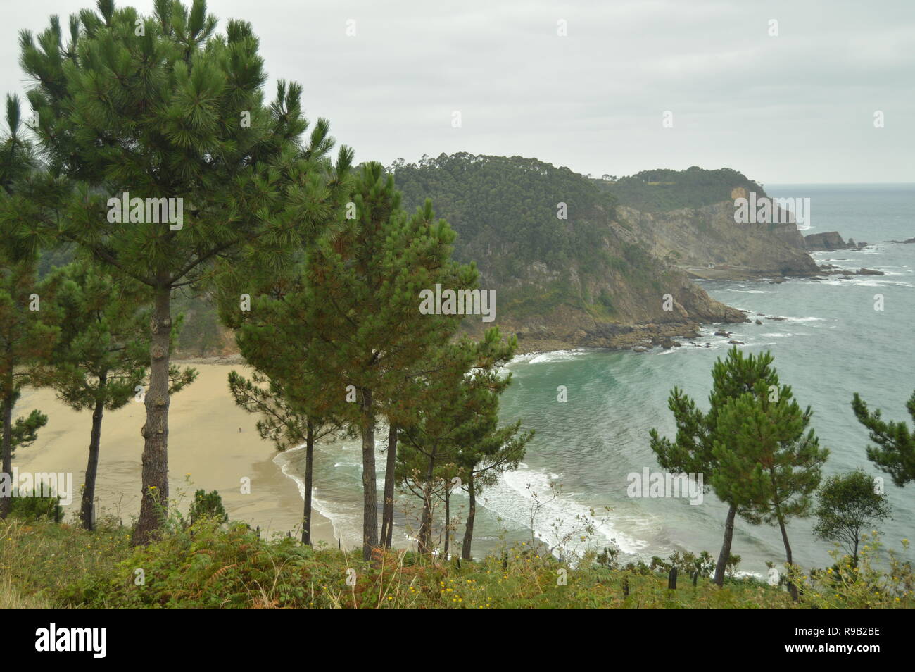 Viewpoint From Which You Can See Through The Trees Oleiros Beach On A ...