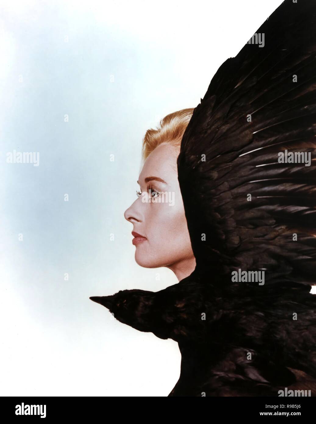 Original film title: THE BIRDS. English title: THE BIRDS. Year: 1963 ...