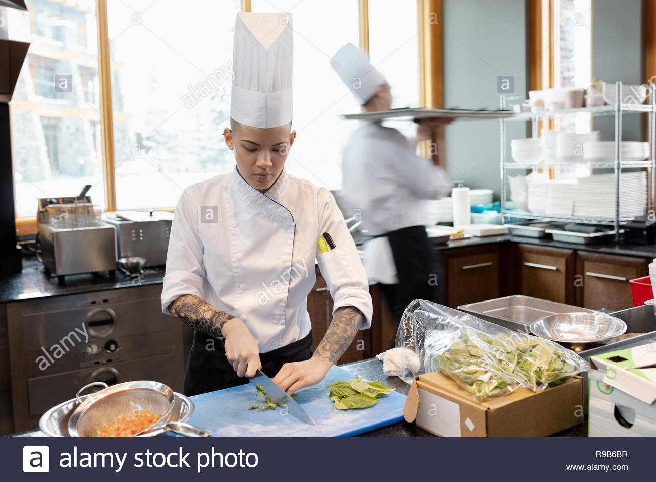 Chef attention to detail hi-res stock photography and images - Alamy