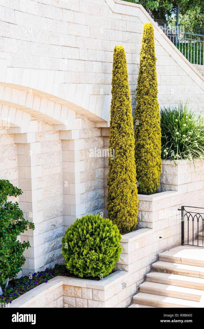 Haifa, Israel - May 22, 2012: Evergreen plants and trees growing on ...
